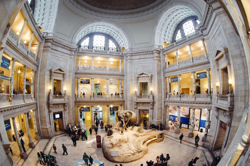 Museo De Smithsonian De La Historia Natural Imagen editorial - Imagen ...