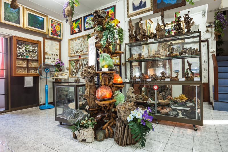 Museo Del Insecto Del Mundo Imagen de archivo editorial - Imagen de ...