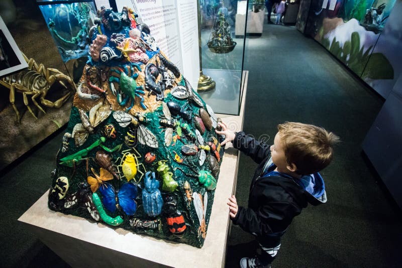 The Insectarium in New Orleans Editorial Image - Image of interesting ...
