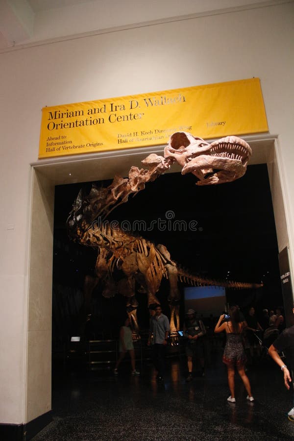 Museum dinosaur editorial stock image. Image of amnh - 77141484