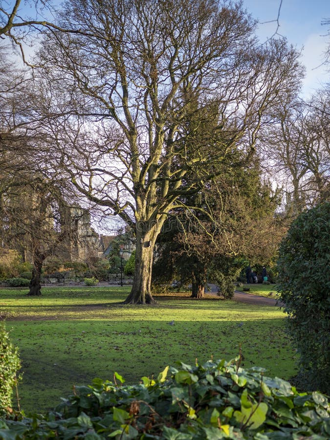 Museum Gardens in York, England, on a December Morning Stock Image ...
