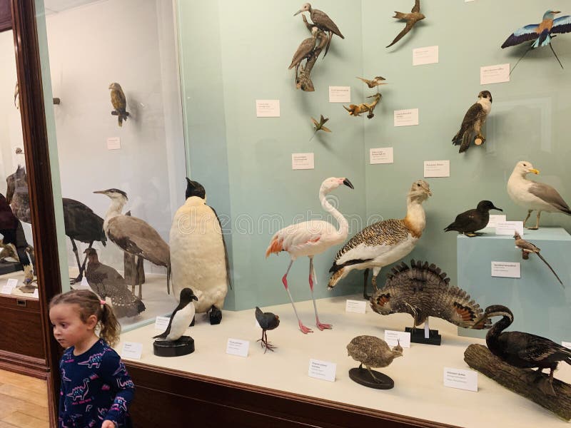 The Natural History Museum in London Exhibits a Vast Range of Specimens ...