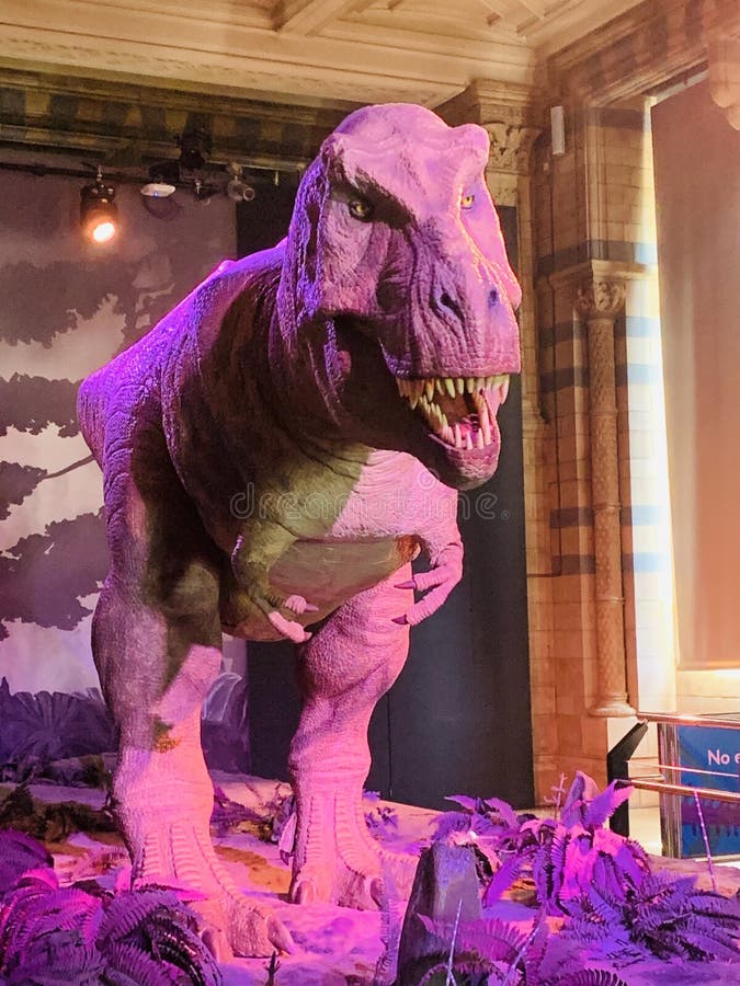 Great Jerboa, Allactaga Major Stock Image - Image of jerboa, mammal ...