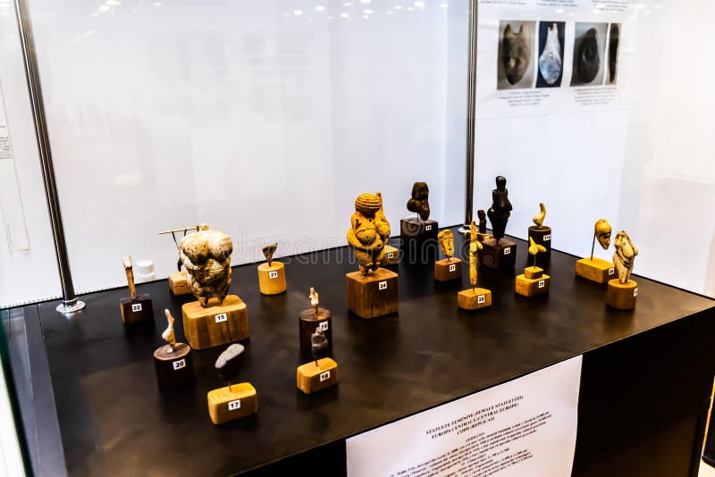 Museum of Human Evolution and Technology in the Paleolithic Editorial ...