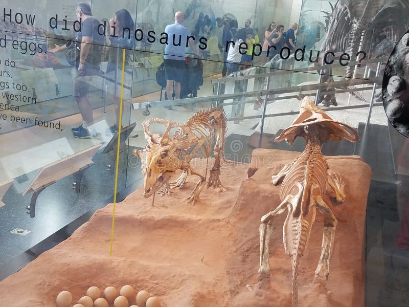 Museum of Modern History editorial stock image. Image of history ...