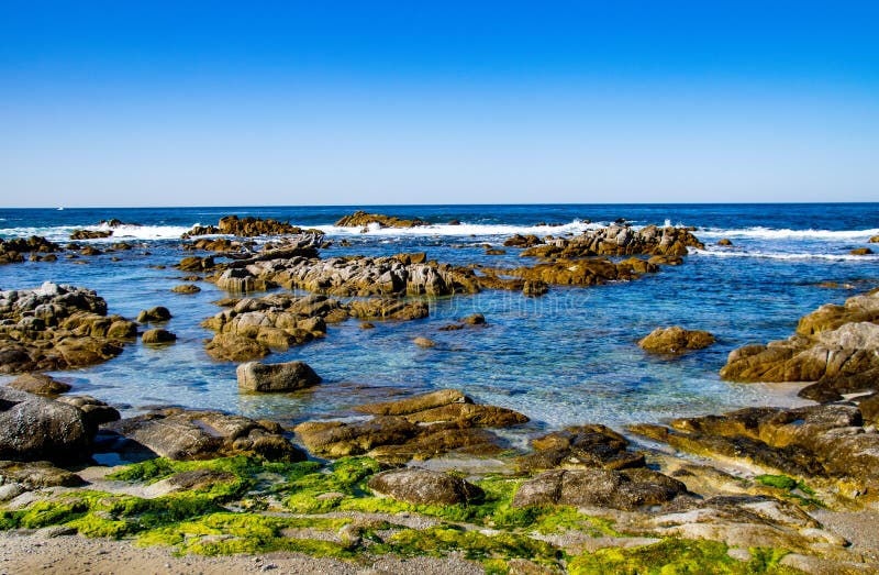 Musgo De Mar, Céu Claro, E O Pacífico Foto de Stock - Imagem de turismo ...
