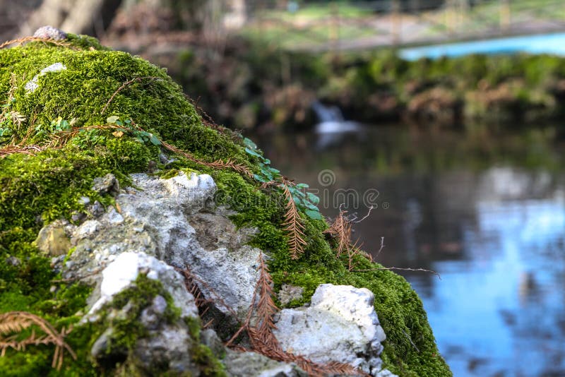 Musgo en roca foto de archivo. Imagen de duro, tranquilidad - 30621206