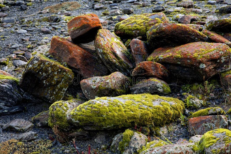 Musgo Colorido En La Pared De Piedra, Grecia Foto de archivo - Imagen ...