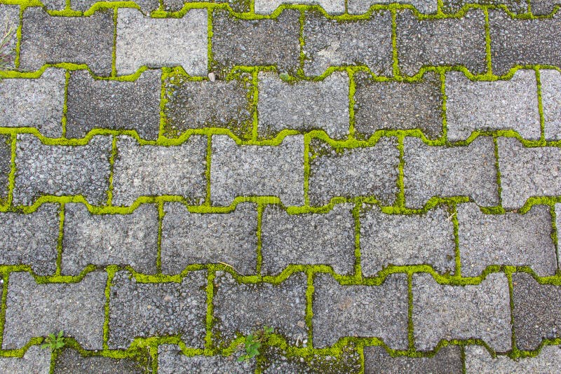 Musgo no bloco de cimento imagem de stock. Imagem de alvenaria - 41373655