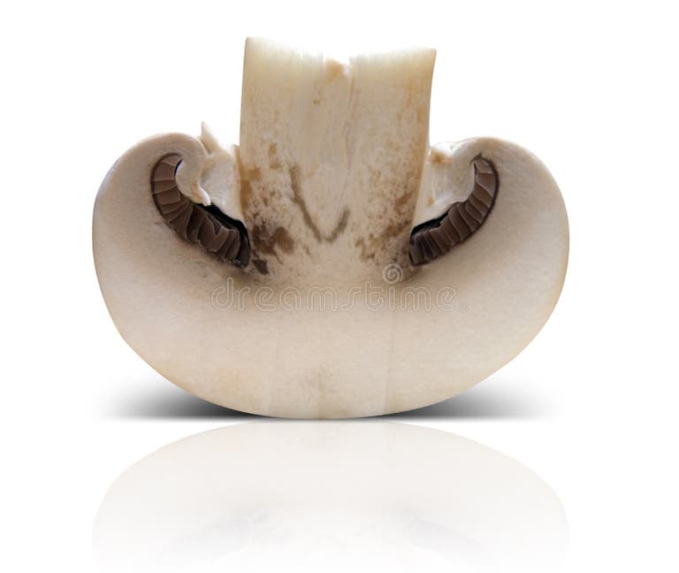 7,204 Half Mushroom Stock Photos - Free & Royalty-Free Stock Photos ...