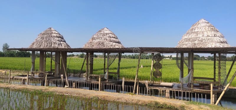 Mushroom arch in the field stock image. Image of reservoir - 206767789