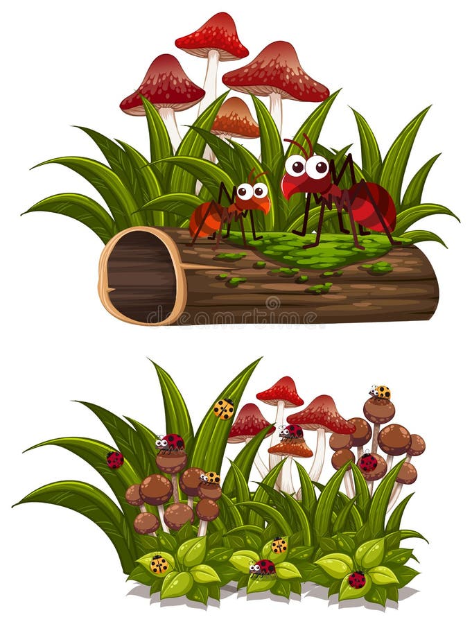 Mushroom and Bugs on the Log Stock Vector - Illustration of path ...