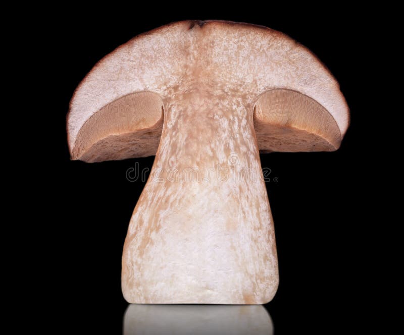 Mushroom And A Half Rock Formation At Timna Park , Israel Stock Photo ...