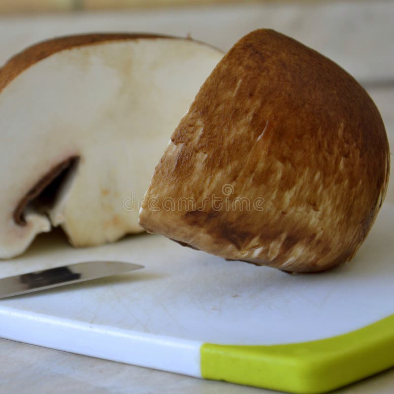 Mushroom cut stock image. Image of mushroom, ingredient - 76472131