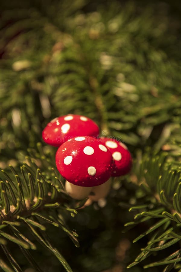 Mushroom Decoration on Christmas Tree Stock Photo - Image of luck ...