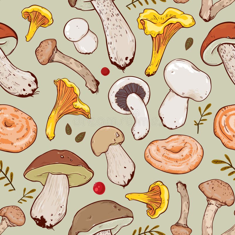 Mushroom design stock vector. Illustration of fungus - 60715464