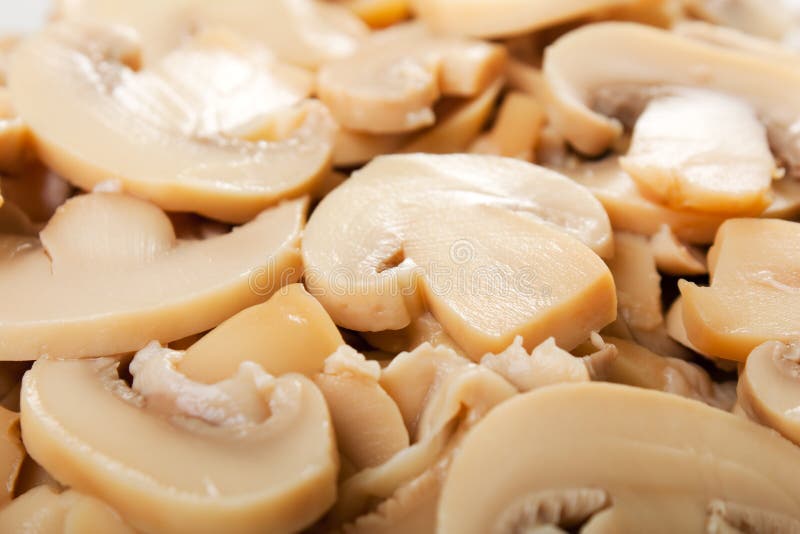 Mushroom food stock photo. Image of heap, cooking, fungus - 13494370