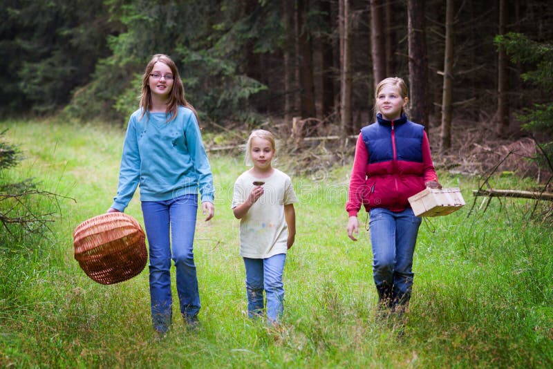 Mushroom foray stock image. Image of movement, leisure - 24308095