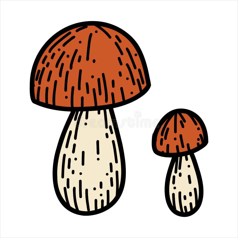 Mushroom in Hand Drawn Doodle Style. Linear Autumn Vector Illustration ... Mushroom in Hand Drawn Doodle Style. Linear Autumn Vector Illustration ...