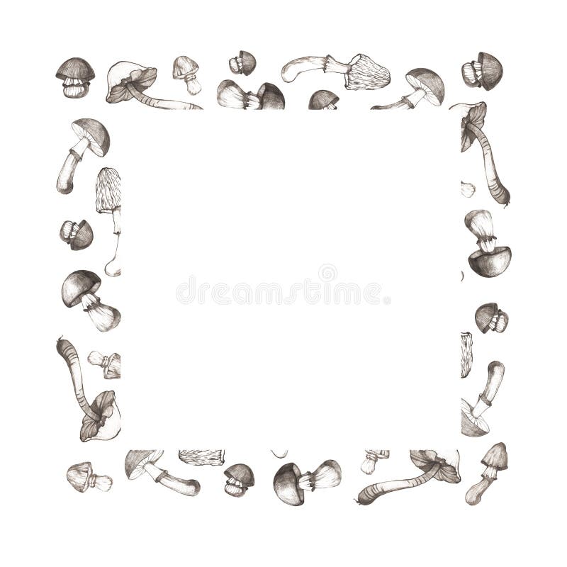 Mushroom Hand Drawn Graphic Frame Stock Image - Image of sketch ...