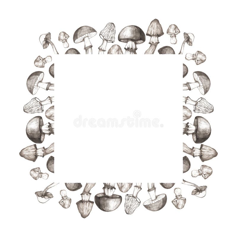 Mushroom Hand Drawn Graphic Frame Stock Illustration - Illustration of ...