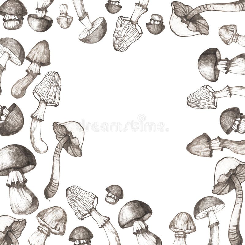 Mushroom Hand Drawn Graphic Frame Stock Illustration - Illustration of ...
