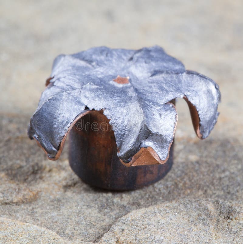 Bullet Mushroom Stock Photos - Free & Royalty-Free Stock Photos from ...