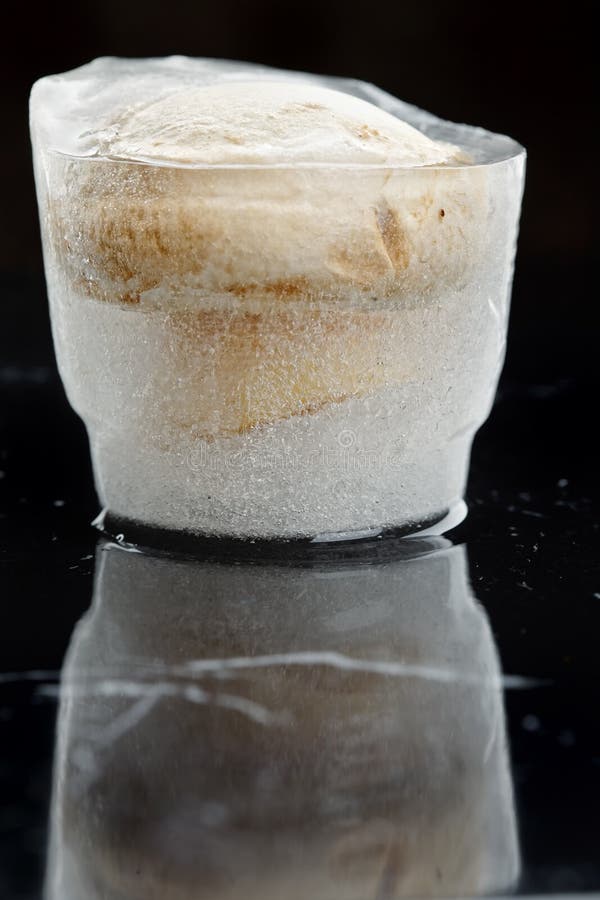 Mushroom In Ice With Reflection Stock Image - Image of cube, cryogenic ...