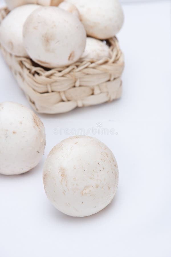 Mushroom stock image. Image of color, healthy, champignon - 49108745