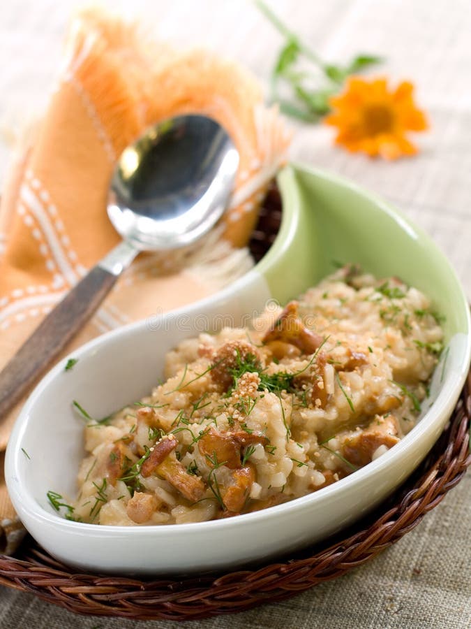 Wild Mushroom Risotto stock image. Image of color, rice - 27568659