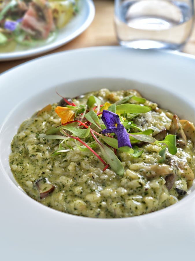 Mushroom risotto stock photo. Image of herbs, risotto - 107625178