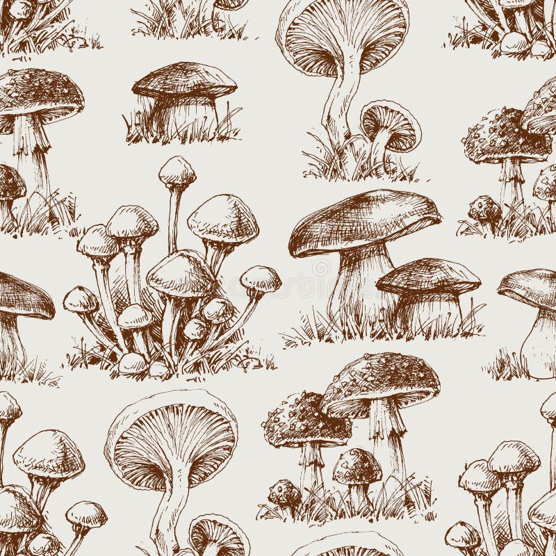 Mushroom seamless pattern stock vector. Illustration of caps - 93819031