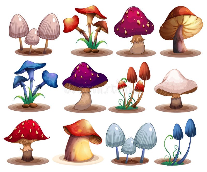 Cartoon mushroom set stock vector. Illustration of oyster - 182954731