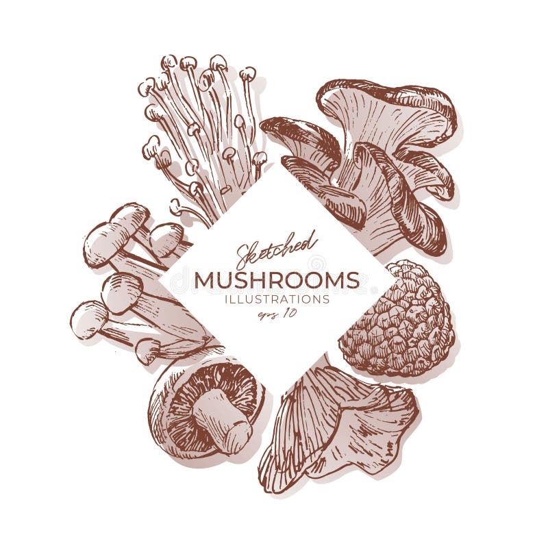Mushroom Set with Text, Round Border Design Stock Vector - Illustration ...