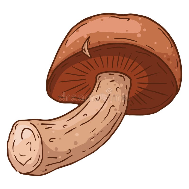 Mushroom Sketch Drawing. Vector Illustration of a Mushroom. Edible ...