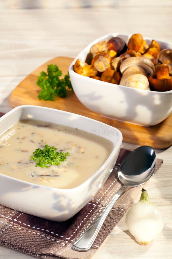 Mushroom soup. Front view. stock photo. Image of mushroom - 190680580