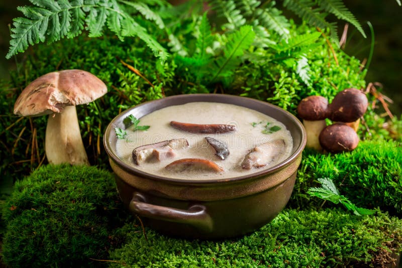 Moss Soup from Traditional Chinese Cuisine Stock Photo - Image of soup ...