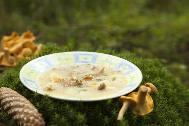 Moss Soup from Traditional Chinese Cuisine Stock Photo - Image of soup, cooking: 176858592