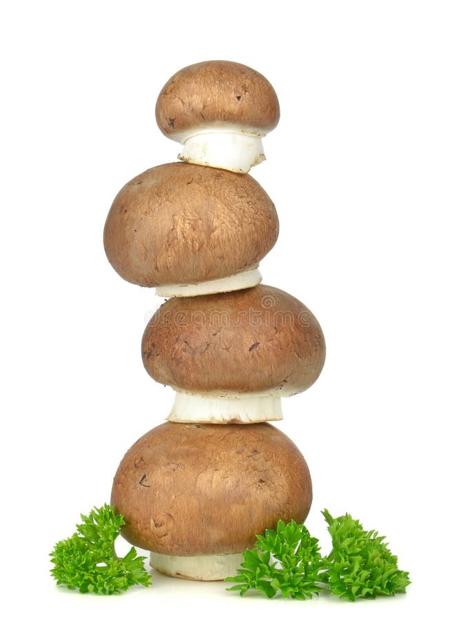 Mushroom Stack stock photo. Image of food, unpeeled, health - 28220858