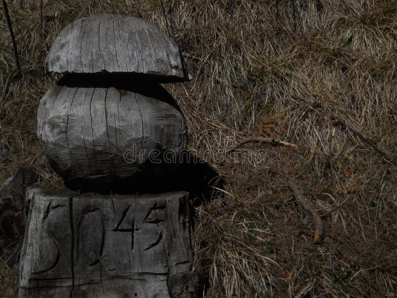 Mushroom Statue with Number Stock Photo - Image of number, statue ...