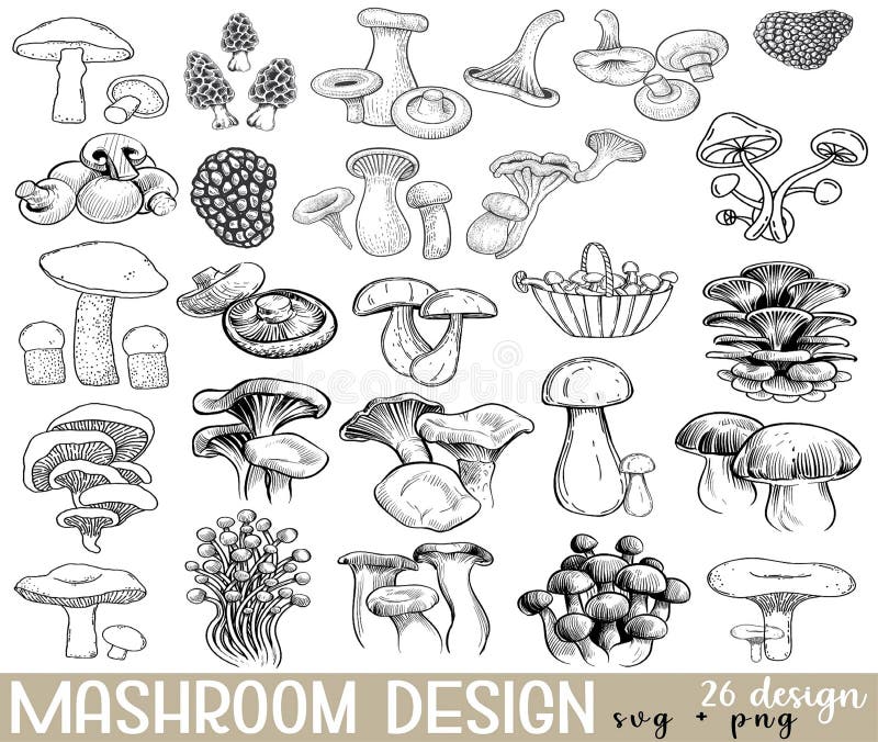 Mushroom svg stock illustration. Illustration of mushroom - 270845673
