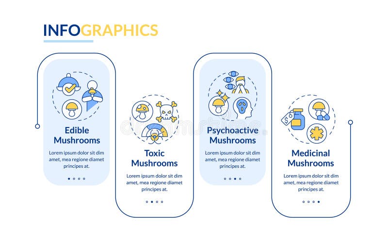 Mushroom Types Blue Rectangle Infographic Template Stock Vector ...