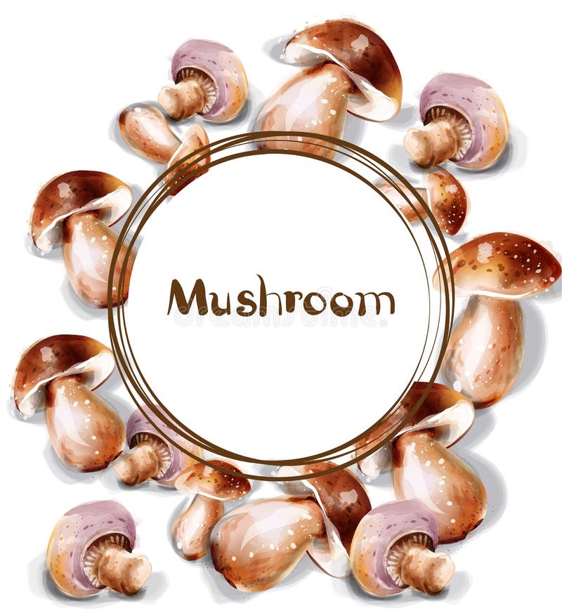 Mushroom frames stock vector. Illustration of summer, spiral - 8118210