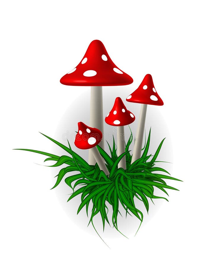 Funky toadstool stock illustration. Illustration of fungi - 1021705