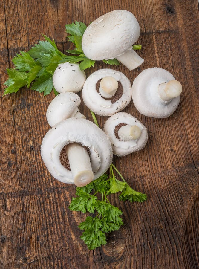 Mushrooms - champignons stock image. Image of grow, gourmet - 46354405