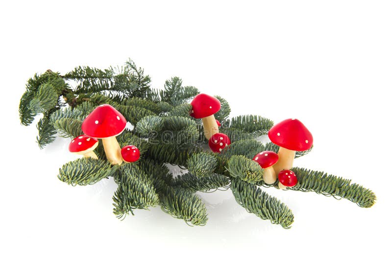 Mushrooms with Christmas stock image. Image of studio - 22425889