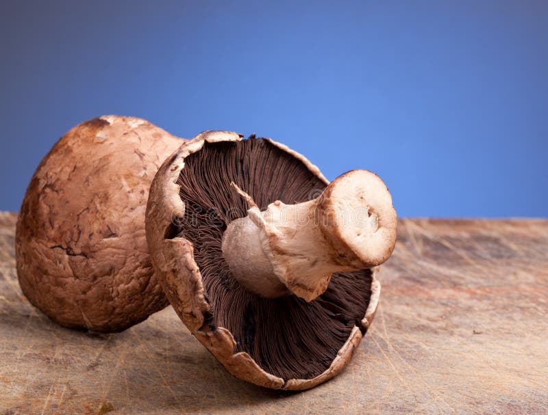 Mushrooms close up. stock image. Image of freshness, nature - 21803955