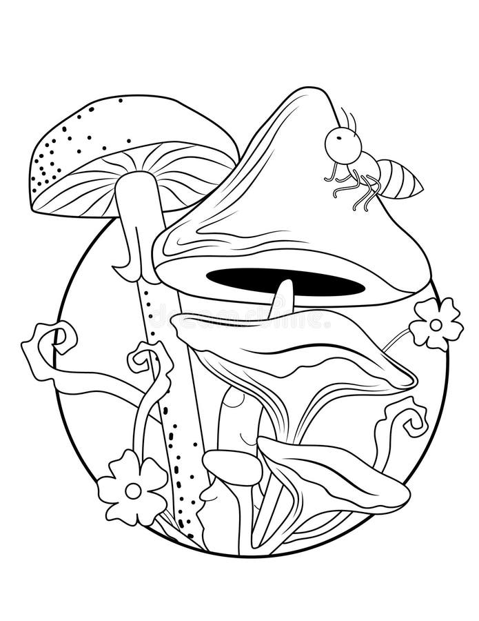 Mushroom Coloring Page, Mushroom Outline Drawing, Adult Coloring Page ...