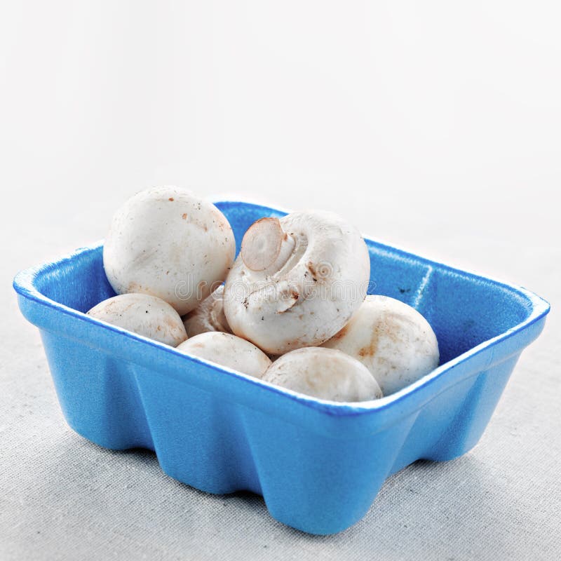 Mushrooms in a container stock image. Image of fungus - 16529481