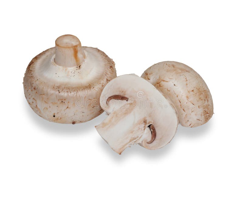 Heap of Sliced Mushrooms on a White Stock Image - Image of isolated ...